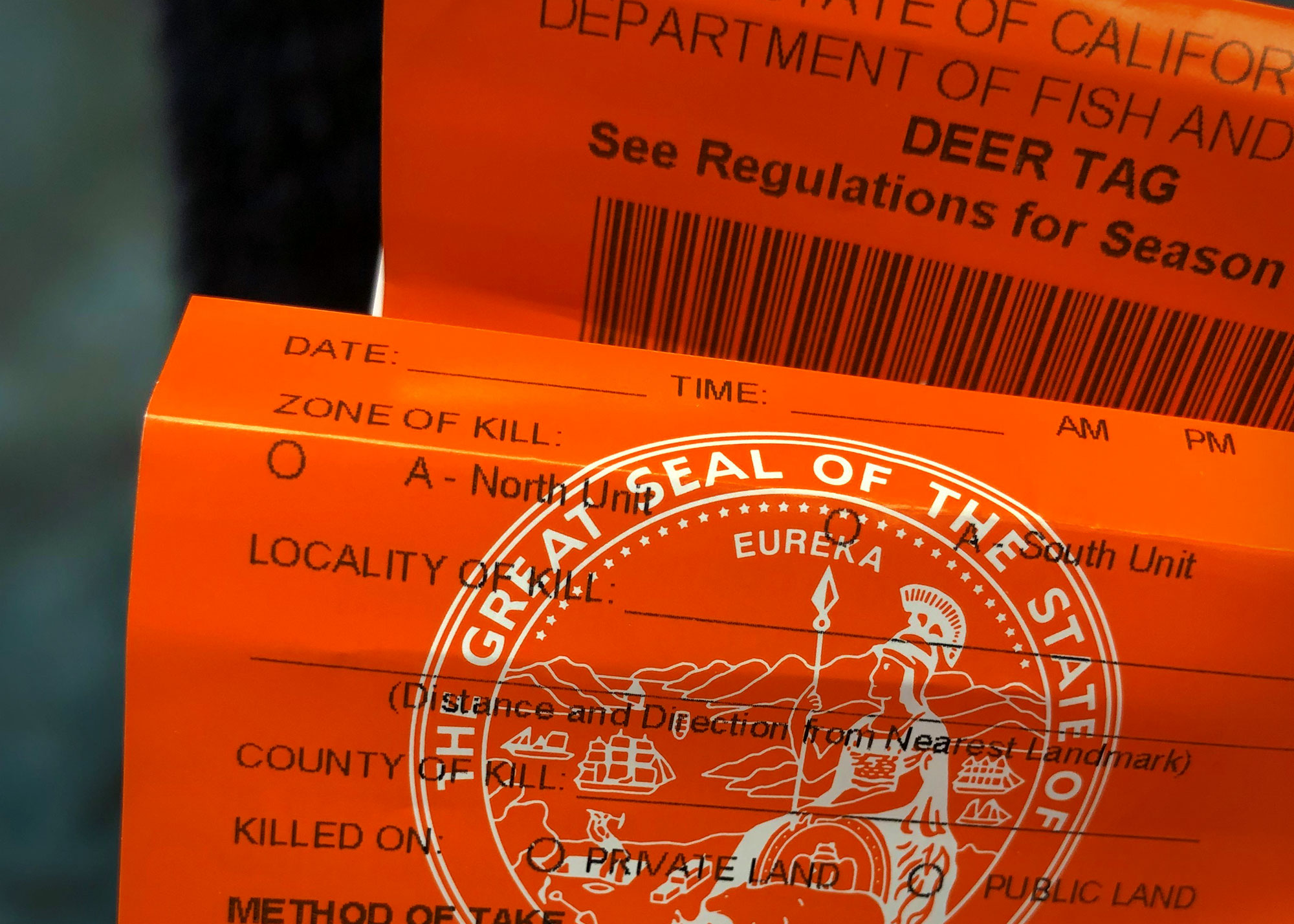 California Hunters And Big Game Tags Information