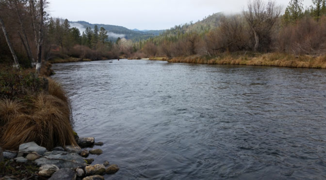 Upper Trinity River To Re-Open For Chinook Fishing Monday – California ...