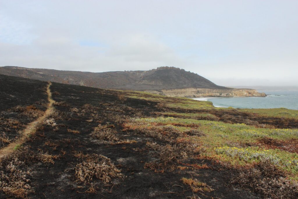 National Park Service To Reopen Day Use At Channel Islands NP’s Santa ...