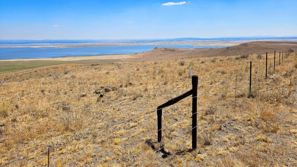 Collaboration Between Mule Deer Foundation, Wildlife Conservation Board ...